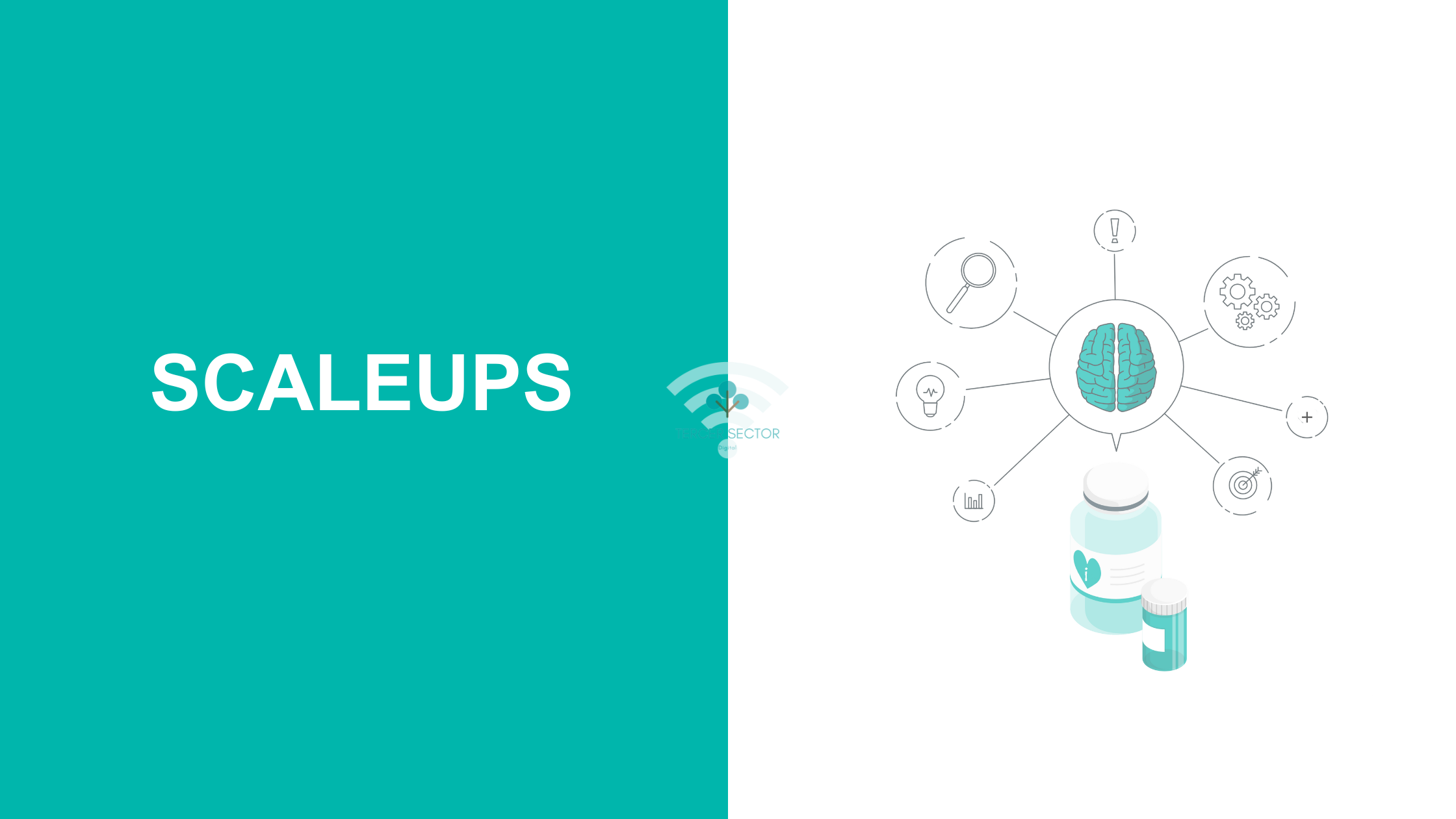 ¿Has oído hablar de las ‘scaleups’? Qué son y en qué se diferencian de las ‘startups’